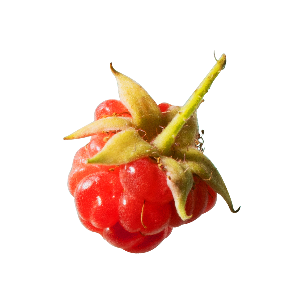 CUSHION CLEANSE™ | Facial Cleanser for Acne | ZitSticka